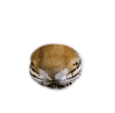 3D everyday greeting cards and products ⋆ TMS International B.V.